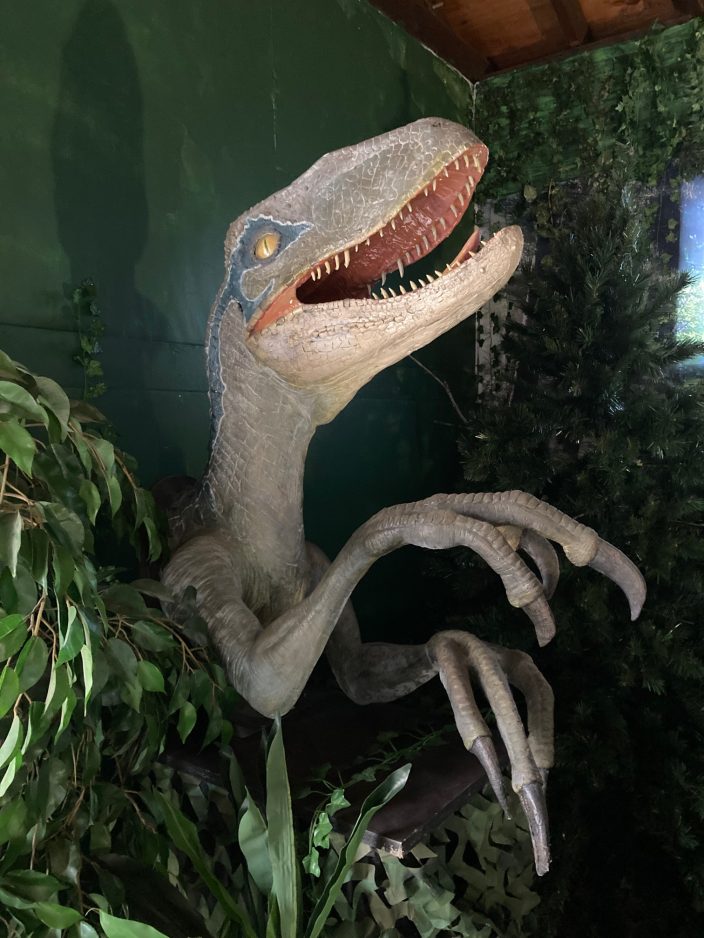 Jurassic Alcove immerses visitors in a world of dinosaurs - Observer ...